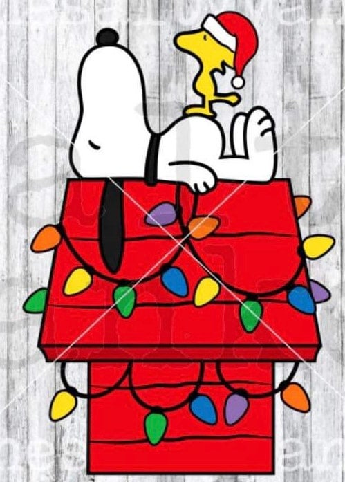 Snoopy and Woodstock on dog house christmas | BandA Molds and More TAT ...